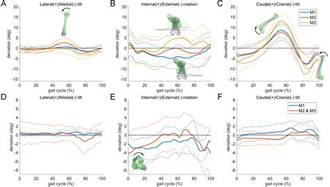 Orientation Deviations Determined By Skin Markers With Respect To The