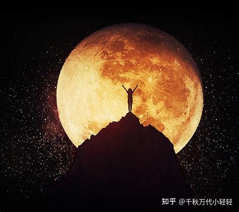 雷鸟鹤7 24款和tcl Q10g Pro哪个好？细说区别，哪款更好些 知乎