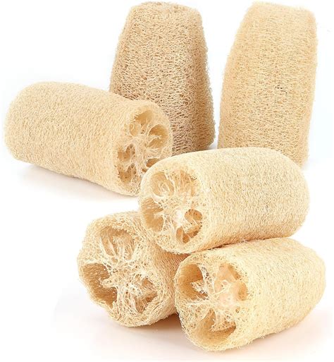 6 Pieces Loofah Sponge Natural Natural Loofah Exfoliating Biodegradable