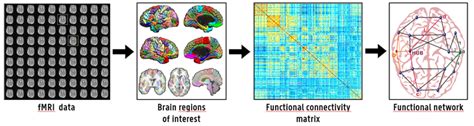 Neuroimaging Biomarkers For Major Depressive Disorder Current Problems And Future Directions