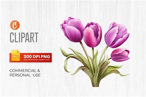 Watercolor Tulips Flowers Clipart Bundle Graphic By Crafticy Creative