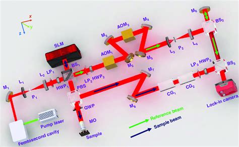 Experimental Setup For The Wide Field Reflection Matrix Optical