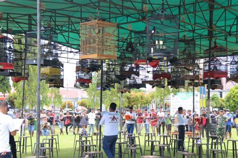 Sruduk SF Dan Koboi BC Juara Lomba Burung Berkicau Bupati Cup II Kutim