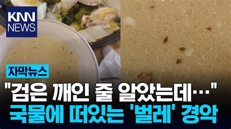 닭한마리 국물에 둥둥 자세히 보니 검은 깨 아니고 벌레 Knn Youtube