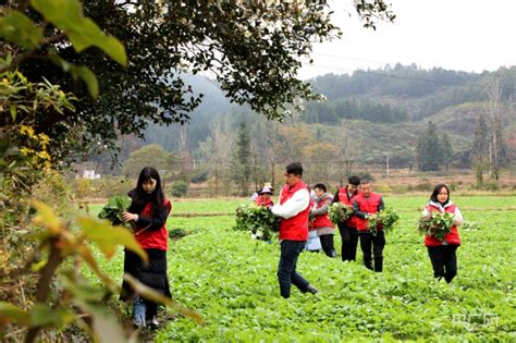 江西：巧让“冬闲田”变“致富田”央广网