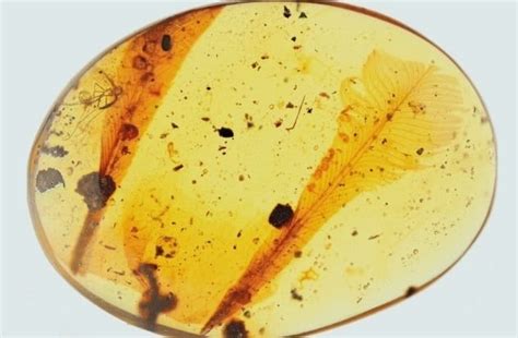 10 Times Small Artifacts Surprised Archaeologists Listverse