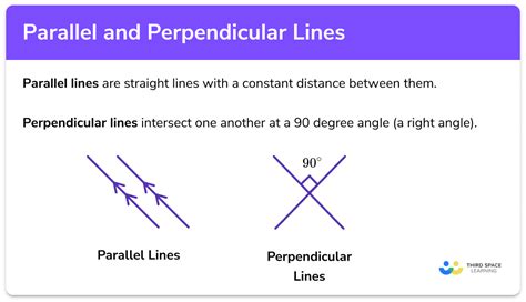 Parallel And Perpendicular Lines
