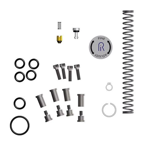 Ralston Instruments Dcap Repk Repair Kit For Dcap Pneumatic Pumps