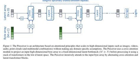 Perceiver One Neural Network Model For Multiple Input Data Types