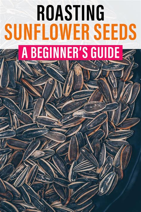 Roasting Sunflower Seeds A Beginners Guide Roasting Sunflower Seeds