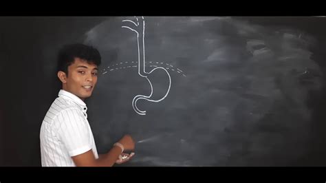 මානව ආහාර ජීර්න පද්දතිය Part 01 Youtube
