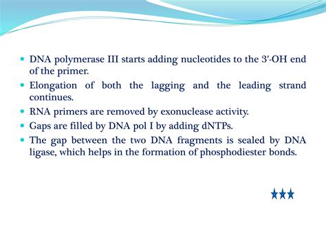 Replication In Prokaryotes Ppt