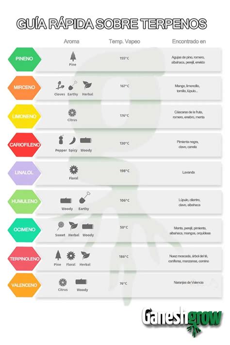 Terpenos Del Cannabis A Fondo ¿que Son Y Para Que Sirven