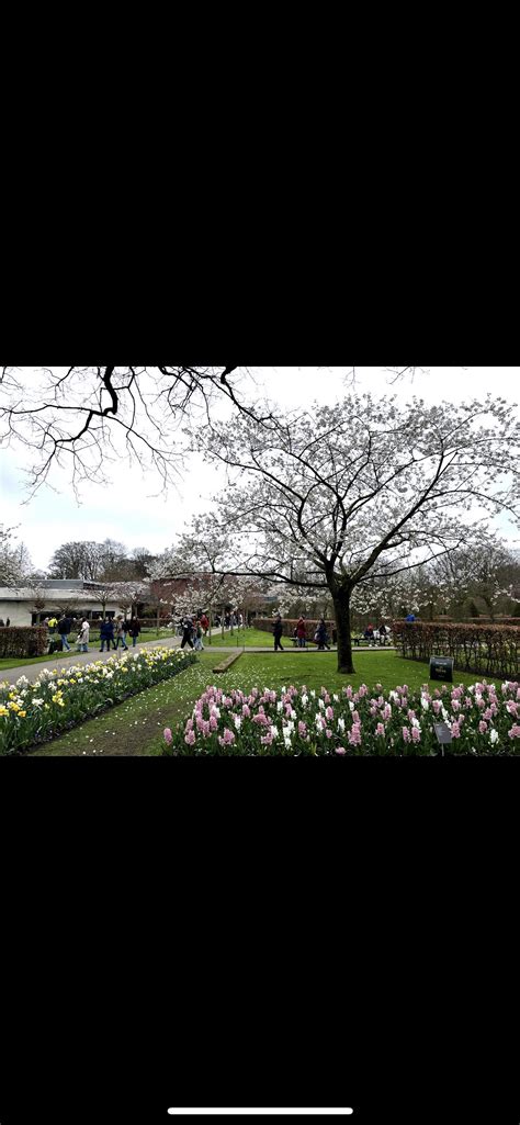 資料科學家的工作日常｜維元 ━━━ Vibe Coding💡無經驗也能寫出會動的程式碼 Ep02 學習程式設計的起手式 常見 Ai