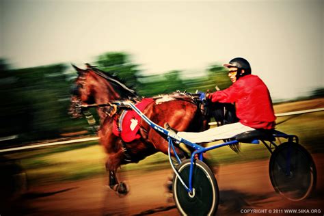 Traditional Buggy Race II Ka Photo Blog