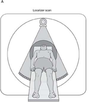 Exam Practice Questions Flashcards Quizlet
