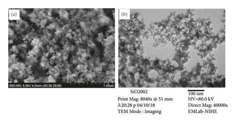 FE SEM A And TEM B Images Of SiO2 Nanoparticles Download Scientific Diagram