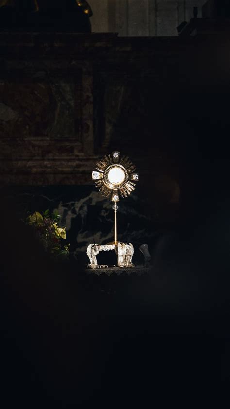 Catholic Connect 🇻🇦 Vatican The Priests Response 👏 Catholicconnect Catholic Catholics