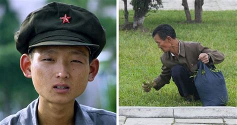 Life In North Korea 55 Rare Photographs From North Korea