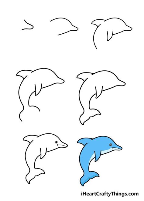 How To Draw A Dolphin Step By Step Guide