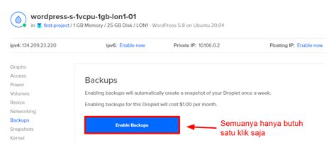 Cara Setup VPS Dengan DigitalOcean Di 2025
