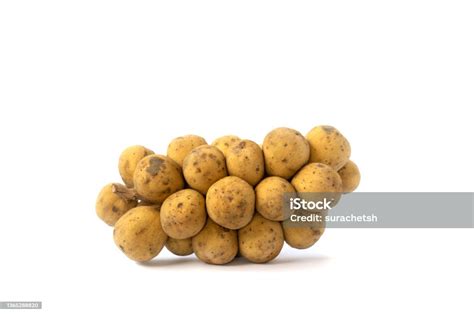 롱콩은 두꺼운 피부이지만 수지와 달콤한 맛이 없는 랑사트와 같은 종의 과일로 스튜디오 조명이 있는 하얀 배경에 있습니다 잘라내길 0명에 대한 스톡 사진 및 기타 이미지