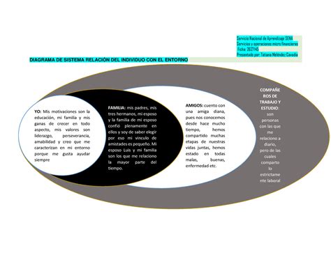 Diagrama De Sistema RelaciÓn Del Individuo Con El Entorno Servicio