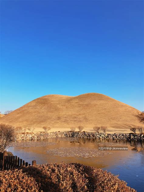경주대릉원 천마총 황리단길과 고양이 네이버 블로그