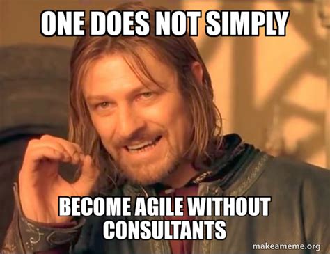 One Does Not Simply Become Agile Without Consultants One Does Not