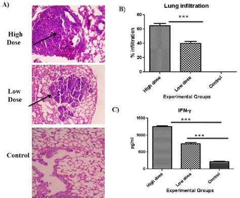 A Representative Histopathology Of Lungs Section Of Mice High Dose