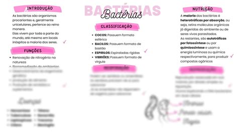 SOLUTION Mapa Mental Sobre Bact Rias Studypool