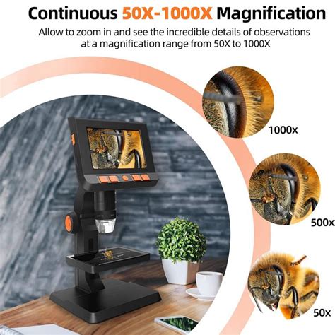 How To Identify Asbestos Under A Microscope