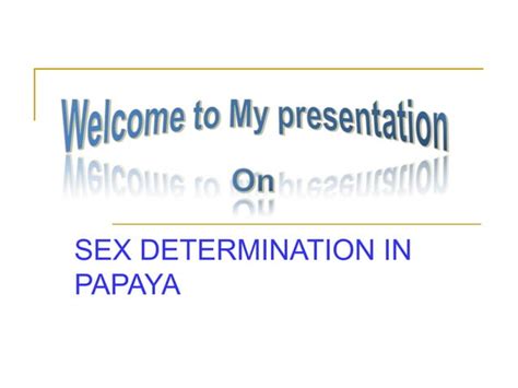 Sex Determination In Papaya Ppt