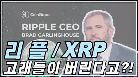 리플 Xrp 고래들이 버린다고 Xrp 리플 리플전망 리플분석 리플코인 리플차트 리플재판 코인추천 알트코인추천 Youtube