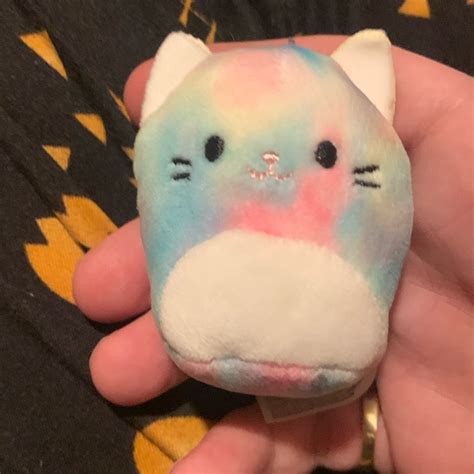 Squishmallows Toys Cindy The Cat Sv Squishmallow Nwt Poshmark