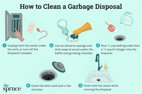 Clean Garbage Disposal 5 Easy Steps For Freshness Disposal Guide