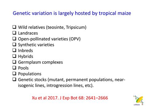 Tropical Maize Genome What Do We Know So Far And How To Use That