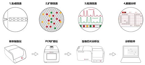 Egfr基因突变检测试剂盒数字pcr法）