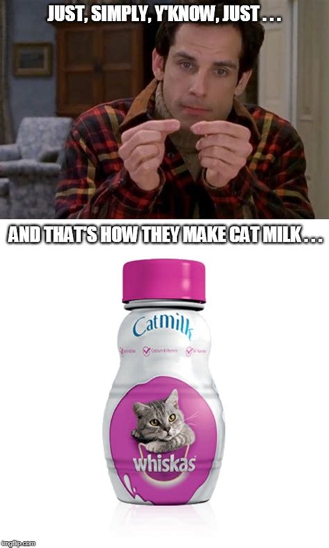 Is It Milk From A Cat Imgflip