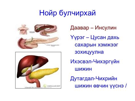 дотоод шүүрлийн булчирхай