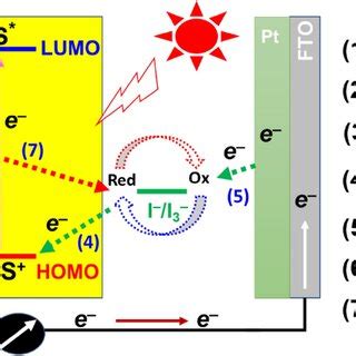Working Mechanism Of A DSSC Device Download Scientific Diagram