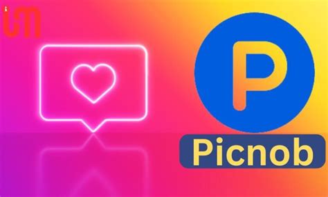 Picnob View Instagram Profiles Anonymously And Securely