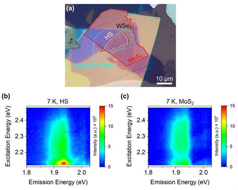 Figure S4 A Optical Micrograph Of The Mos2 Hbn Wse2 Hs B C Ple