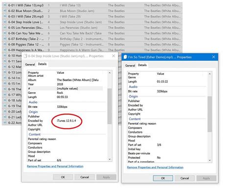 Mp3 Metadata Problemcant Edit Without Deleting Other Values Solved