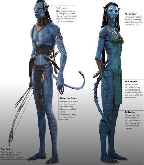 Navi Aandp Avatar Characters Avatar Movie Avatar