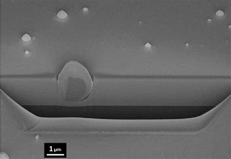 Sem Image Of Cross Section Of Coating With Embedded Particle Sample Download Scientific