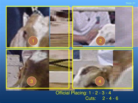 Ppt Judging Meat Goats Powerpoint Presentation Free Download Id