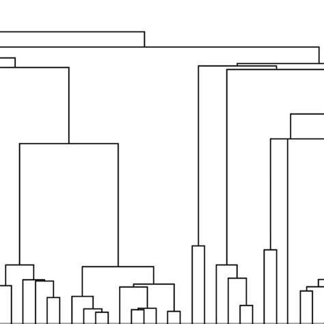 diagram of similarity of trees on the correlations features of