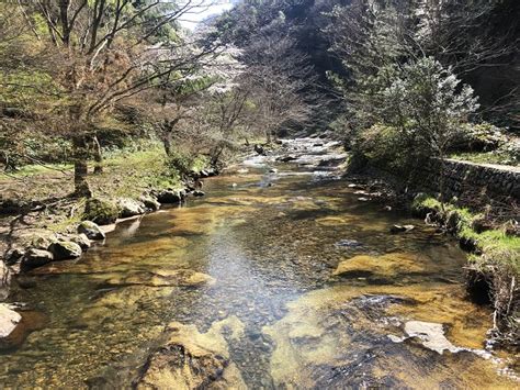 R4 4 22 八重滝遊歩道の状況について 入間交流センター 島根県雲南市掛合町入間