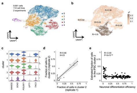 Population Scale Single Cell Rna Seq Profiling Across Dopaminergic